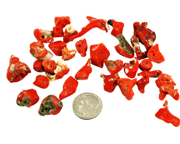 Italian Red Coral Chip Beads Large (12)- All Natural - Estate Beads ...